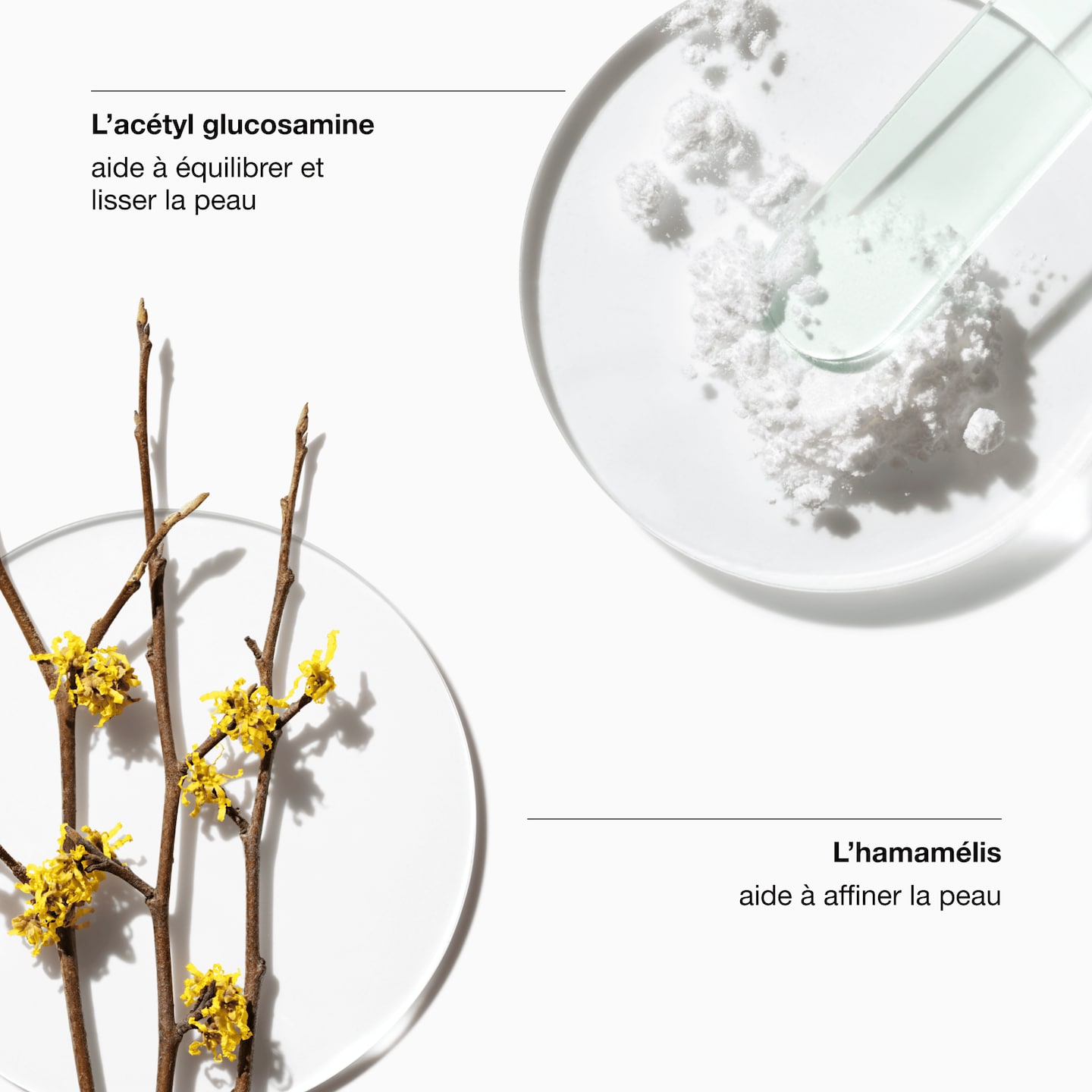 Clarifying Lotion 2 | Clinique