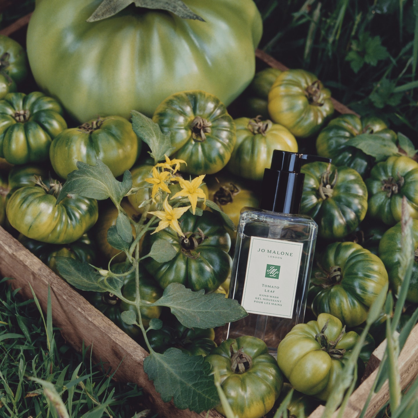 Green Tomato Leaf Gel moussant mains et corps | Jo Malone London