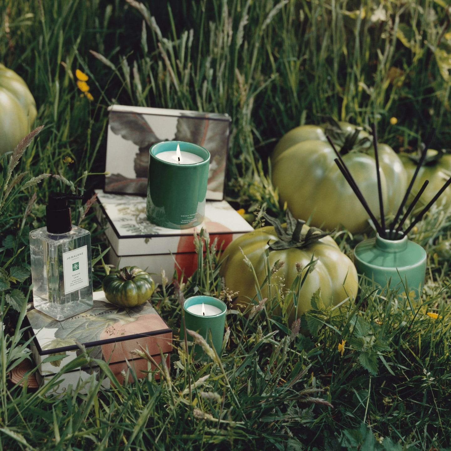 Green Tomato Leaf Gel moussant mains et corps | Jo Malone London